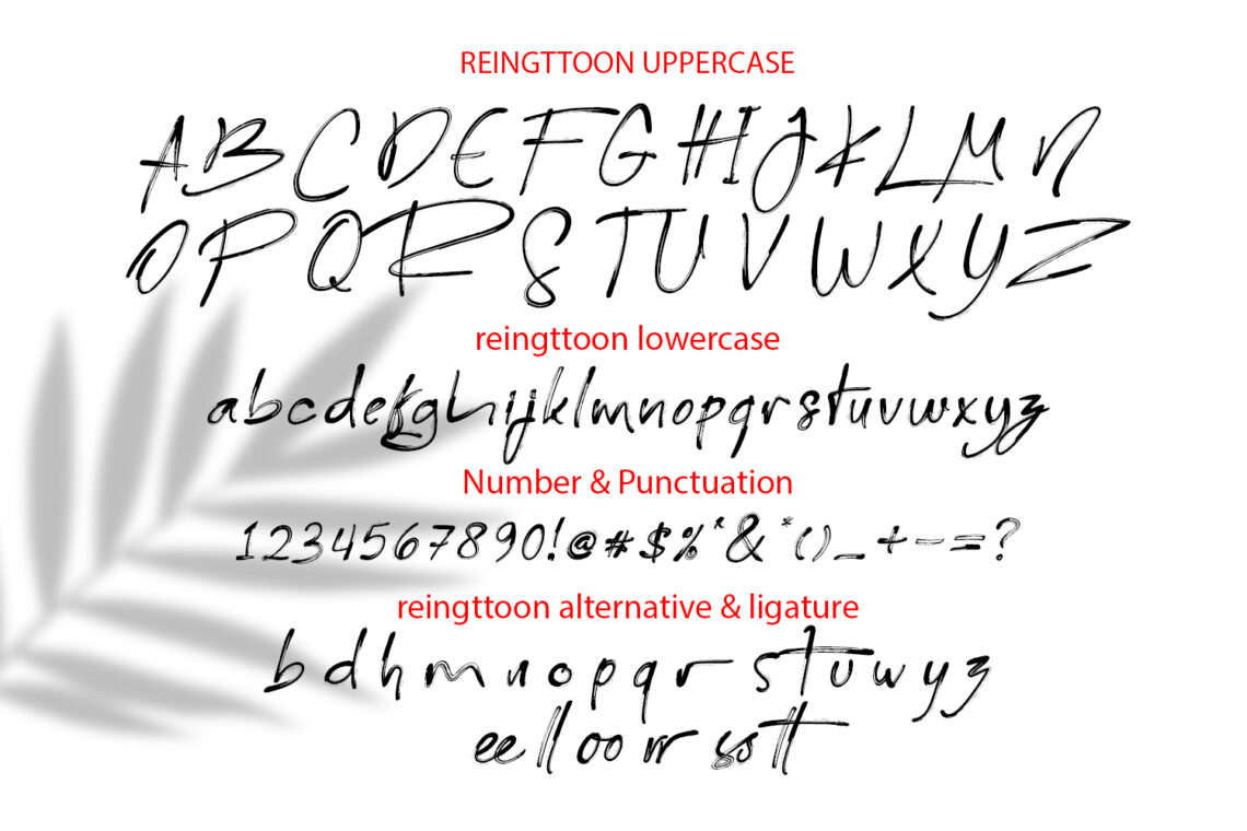 Reingttoon Handwritten Brush – Type Class Heroes