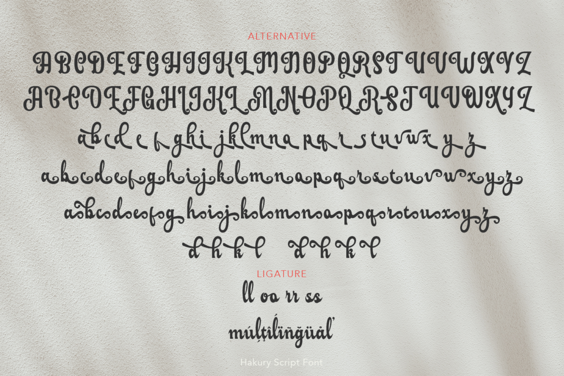 Hakury Script – Type Class Heroes
