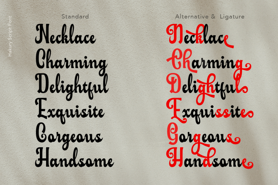 Hakury Script – Type Class Heroes